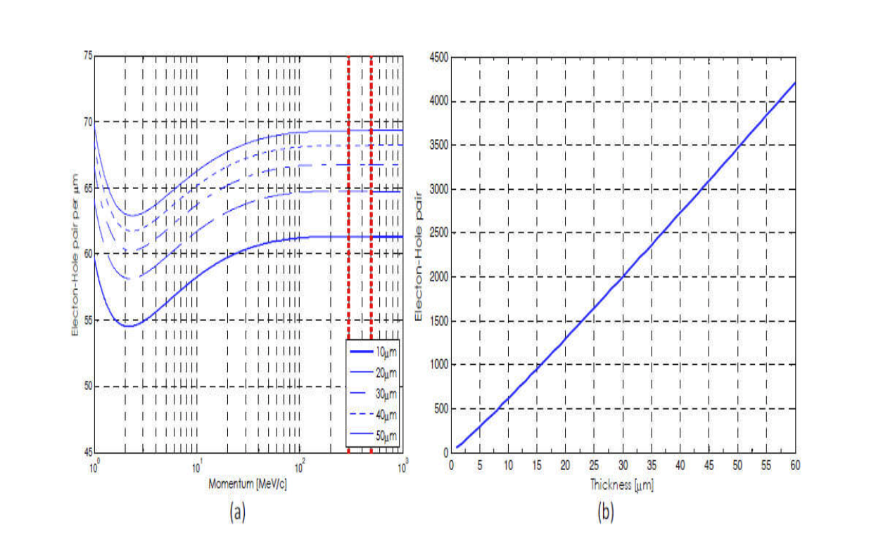 The Straggling Function. Energy Loss Distribution of Charged Particles ...