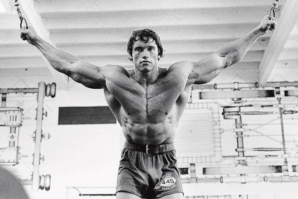 The Science Behind Maximising Muscle Growth: A Guide to Smart Workout ...